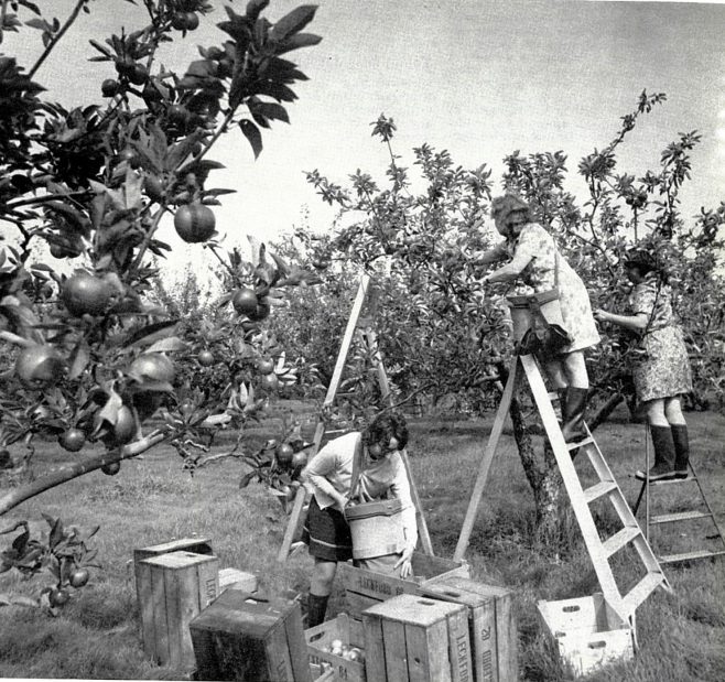 The Development of the Leckford Estate - John Lewis Partnership Memory ...