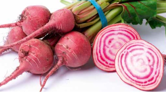 Two new beetroots launched - Waitrose Memory Store